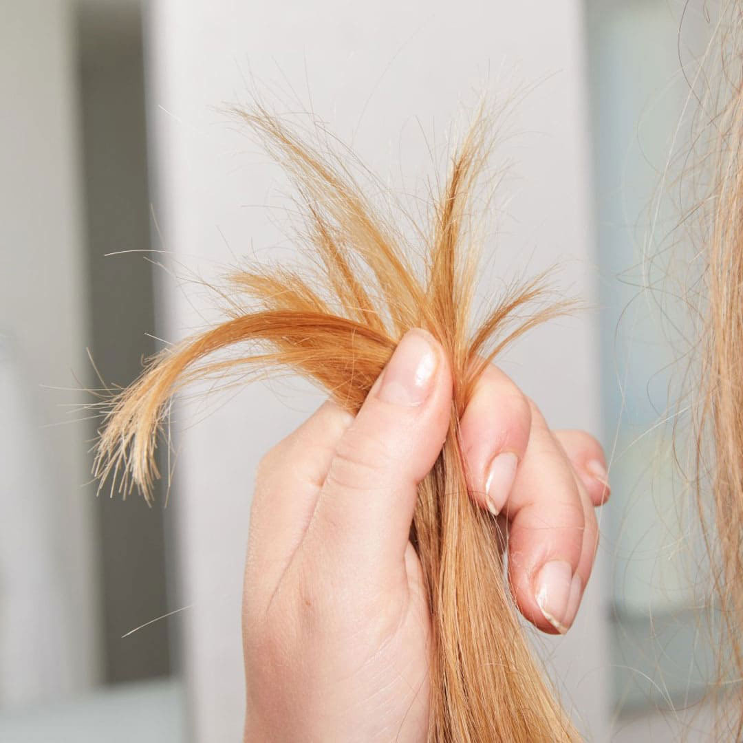 Best products for split ends in Pakistan – Hair Affairs by MS